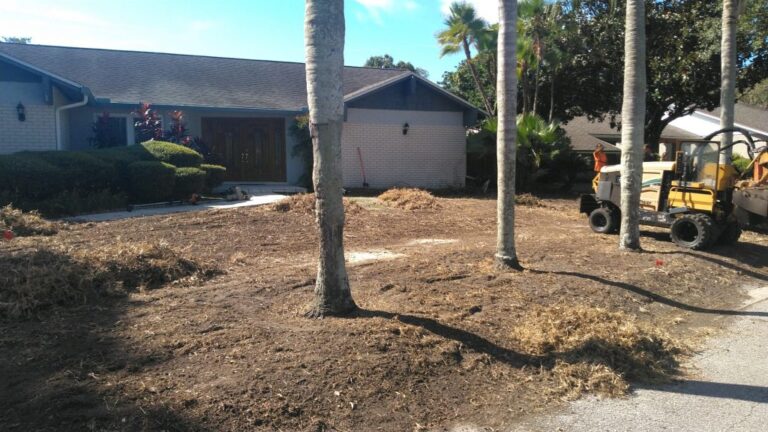 Gallery - Allpro Tree & Landscaping