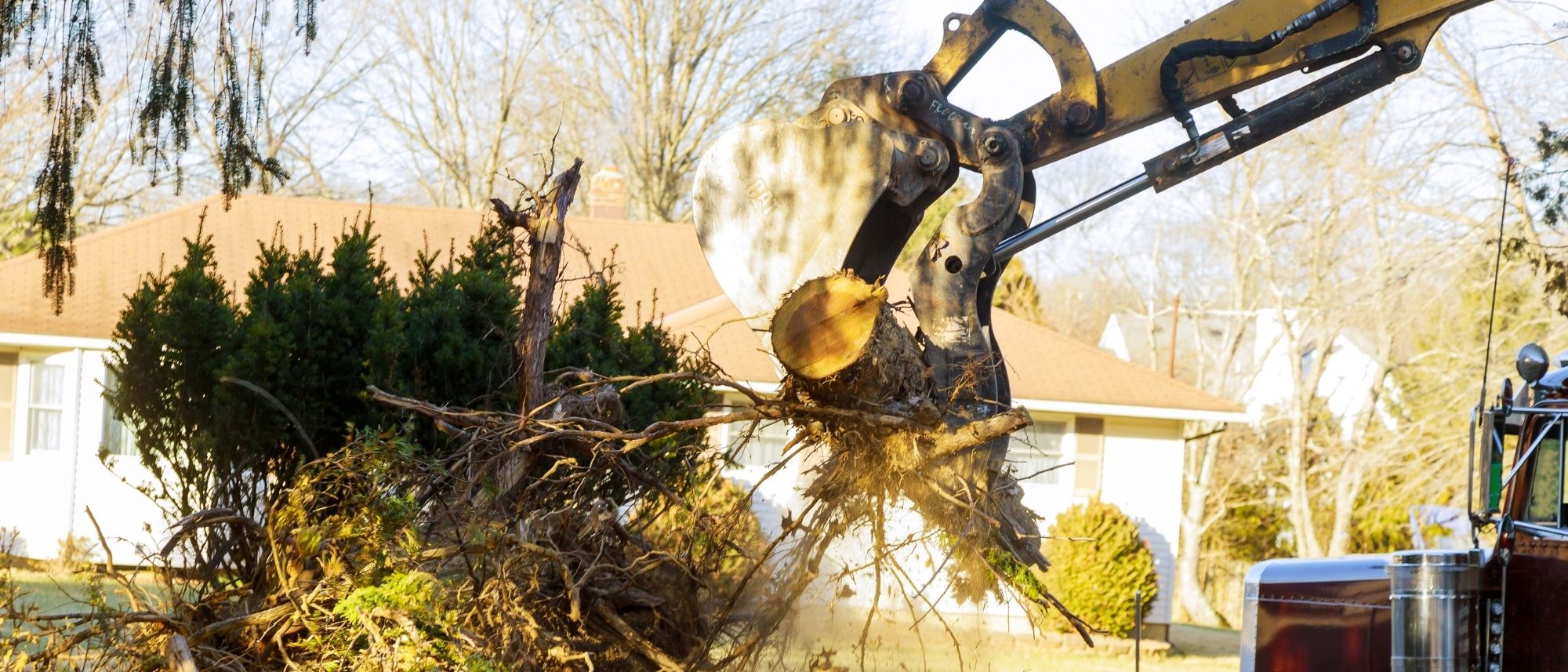Tree Removal - Allpro Tree & Landscaping